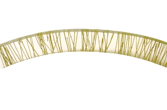 Home | The Decorative Panel Company | Acrylic Custom Made Panels