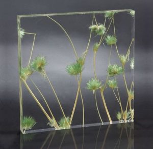 Intrigue collection | Translucent Resin panels | The Decorative Panel ...