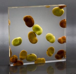 Intrigue collection | Translucent Resin panels | The Decorative Panel ...