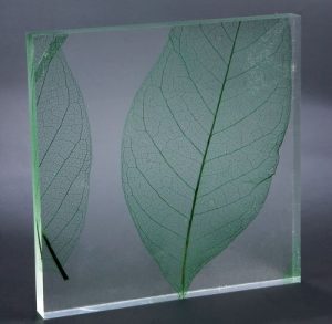Intrigue collection | Translucent Resin panels | The Decorative Panel ...