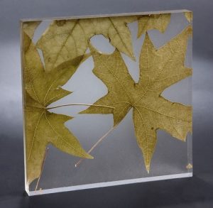 Intrigue collection | Translucent Resin panels | The Decorative Panel ...