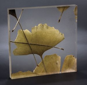 Intrigue collection | Translucent Resin panels | The Decorative Panel ...