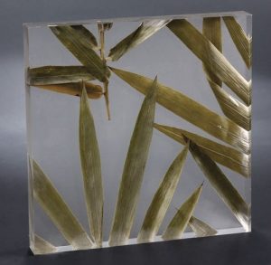 Intrigue collection | Translucent Resin panels | The Decorative Panel ...
